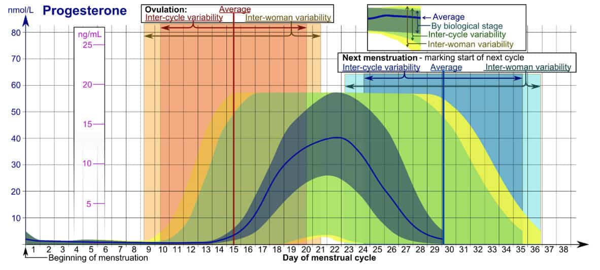 How to naturally boost progesterone levels? | Dr. BreAnna Guan